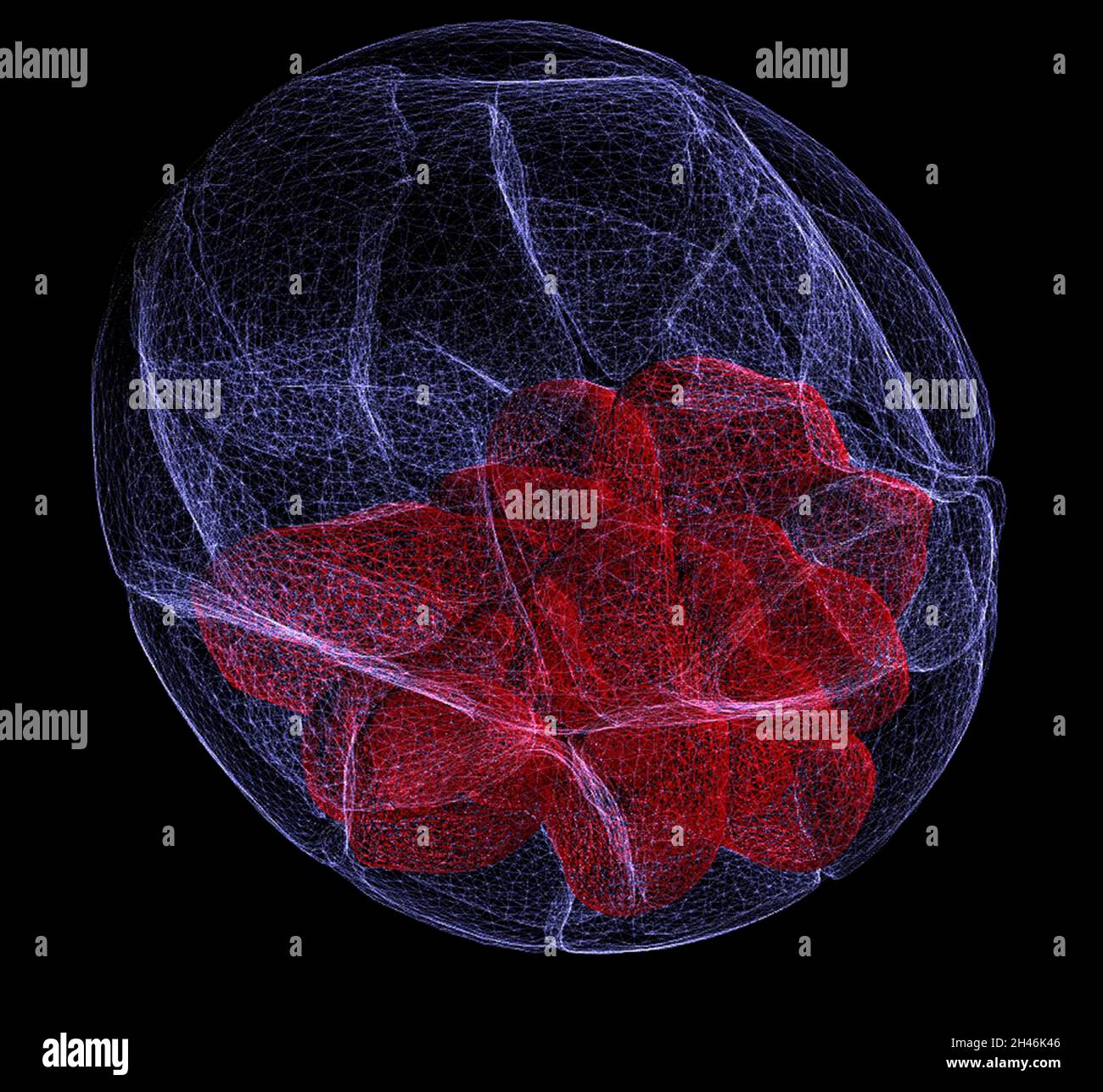 Mouse blastocyst stage embryo Stock Photo - Alamy