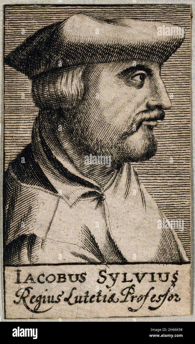 Jacobus sylvius hi-res stock photography and images - Alamy