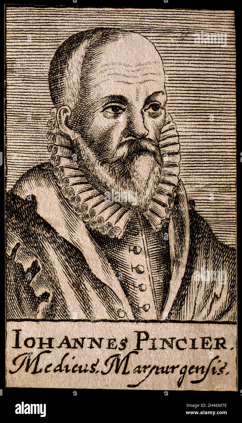 Pincier hi-res stock photography and images - Alamy