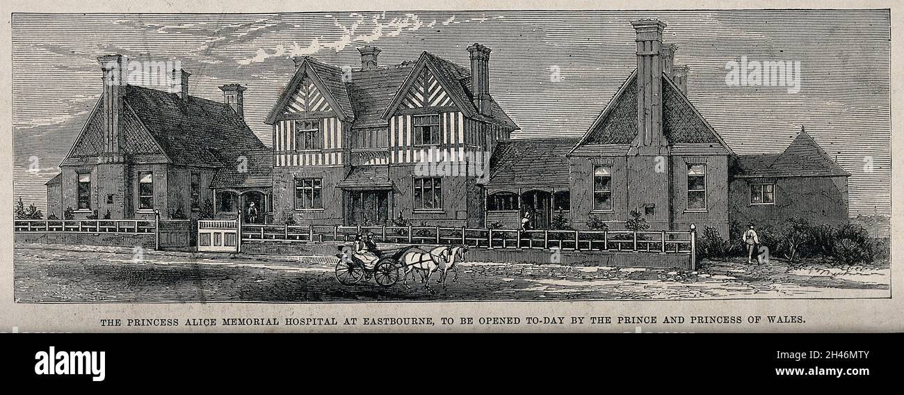 Princess Alice Memorial Hospital, Eastbourne: perspective view. Wood ...