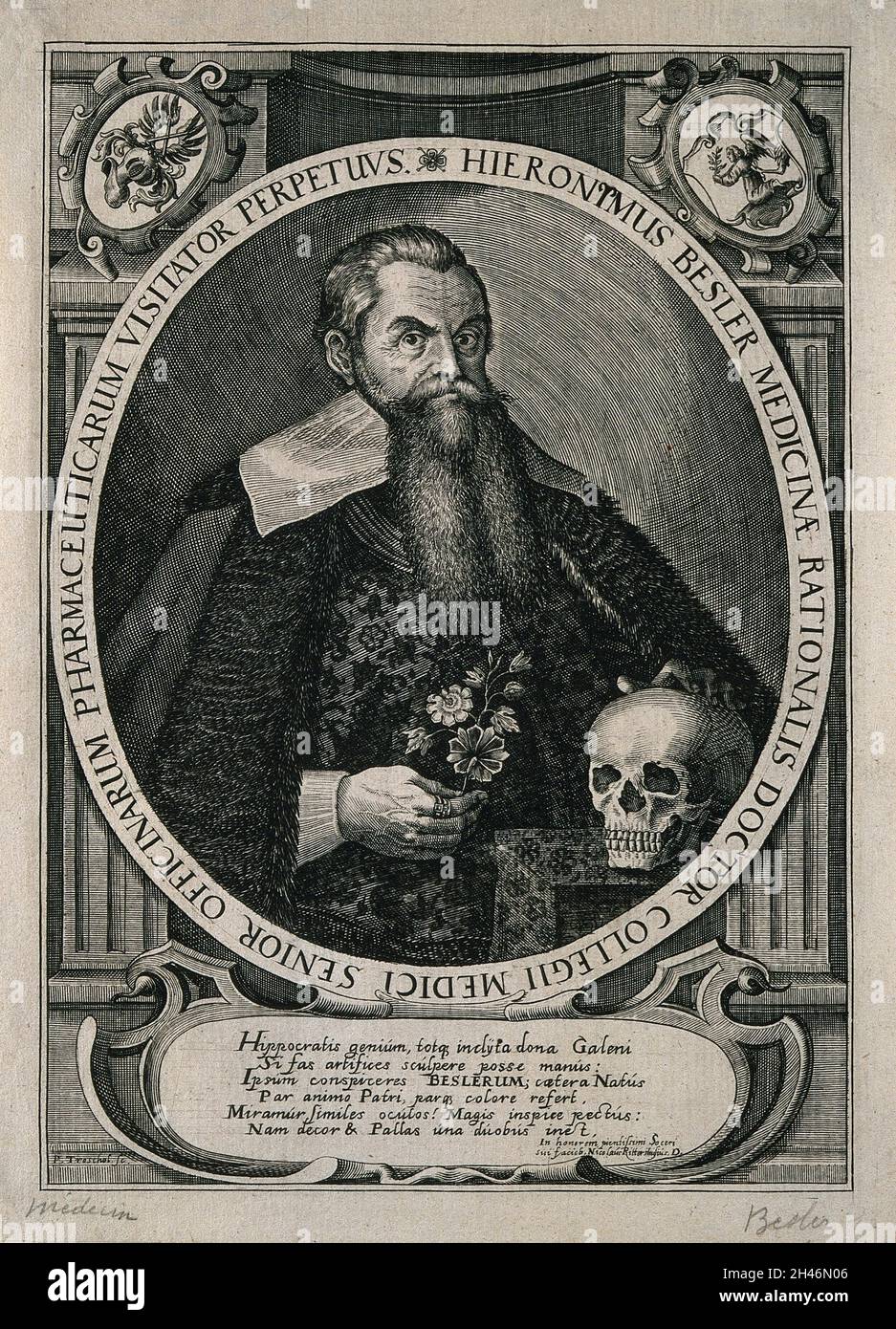 Hieronymus besler hi-res stock photography and images - Alamy