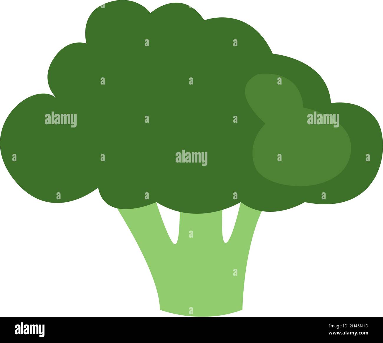 Green broccoli, illustration, vector, on a white background Stock ...