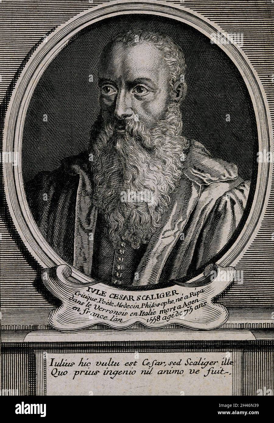 Julius Caesar Scaliger. Line engraving Stock Photo - Alamy