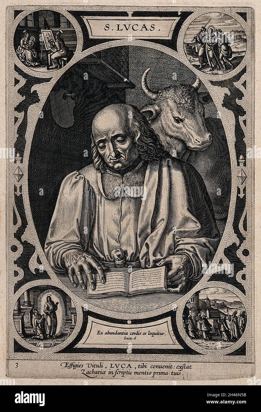 Bull engraving 17th century hi-res stock photography and images - Alamy