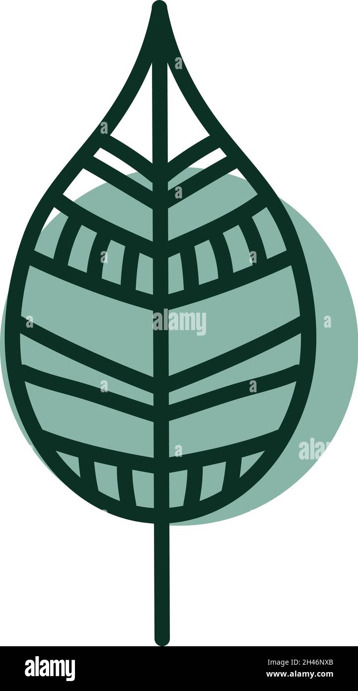 Botanical green leaf Stock Vector Images - Alamy