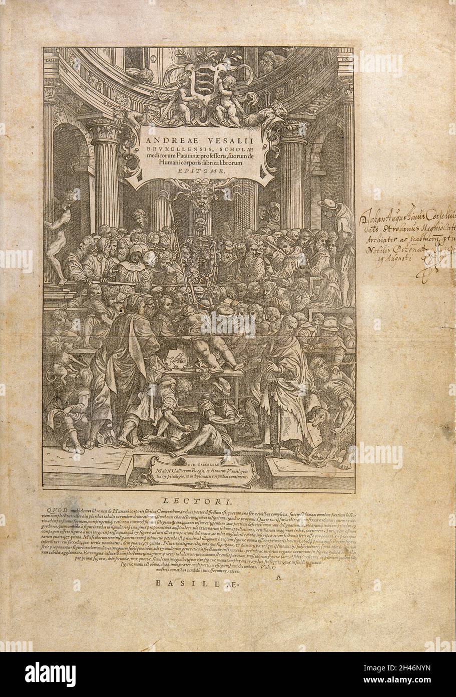 An anatomical dissection being carried out by Andreas Vesalius ...