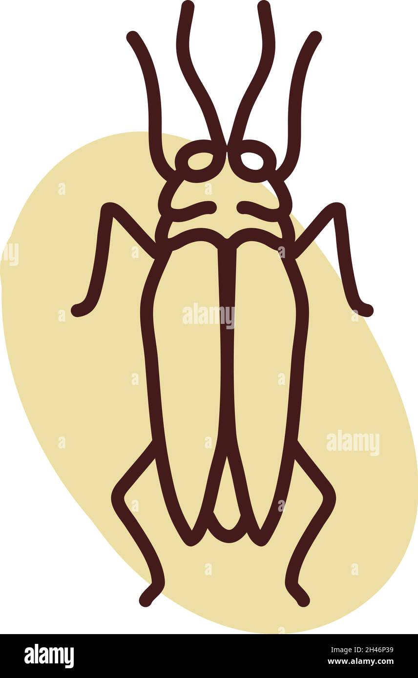 Black outline cockroach on Stock Vector Images - Alamy