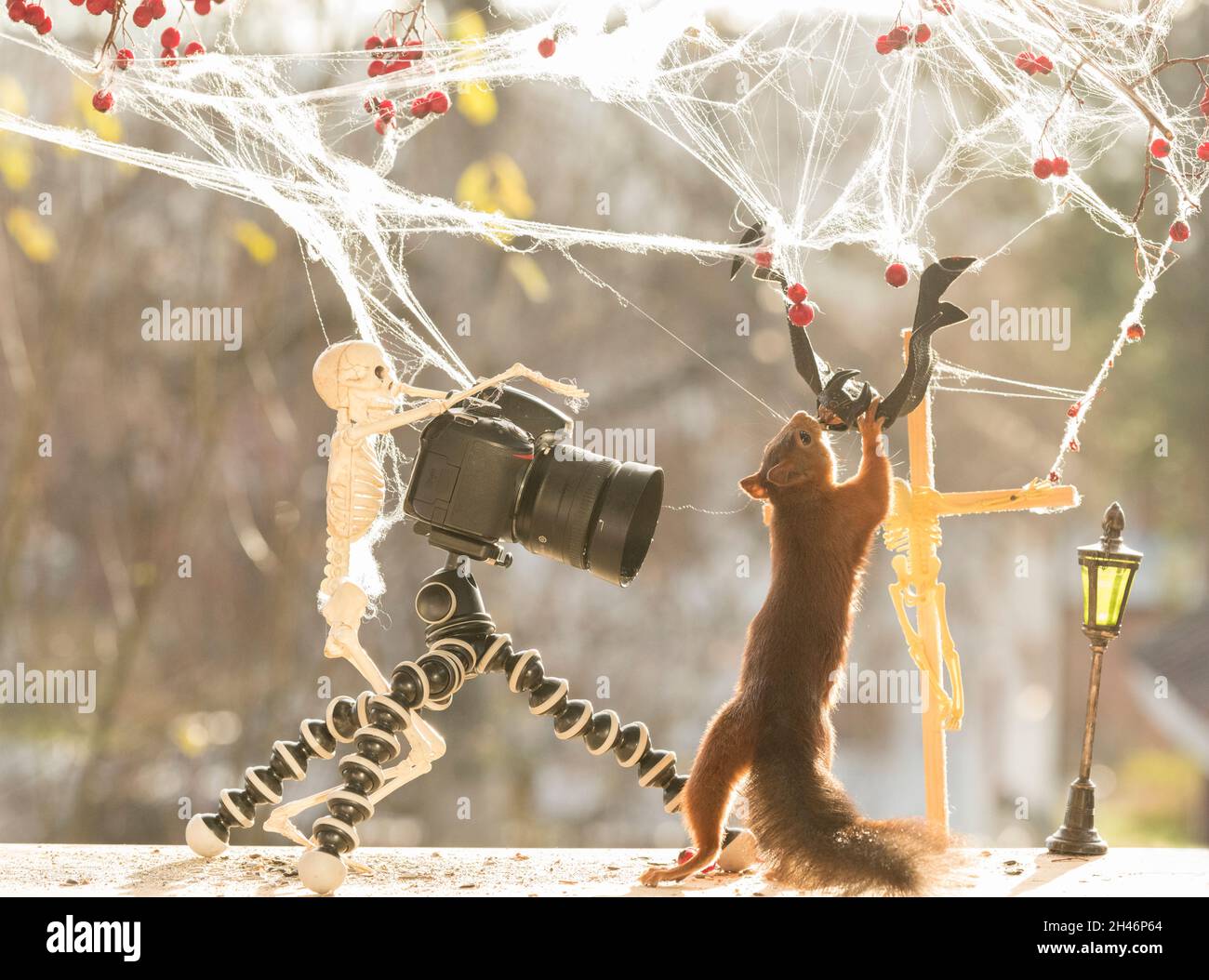 Camera and an skeleton hi-res stock photography and images - Alamy