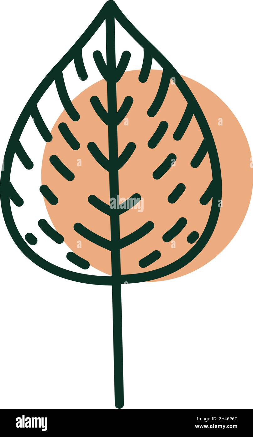 Autumn brown leaf, illustration, vector, on a white background Stock ...