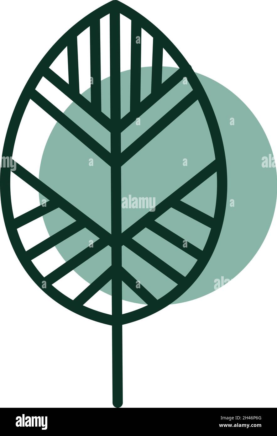 Green circular leaf, illustration, vector, on a white background Stock ...