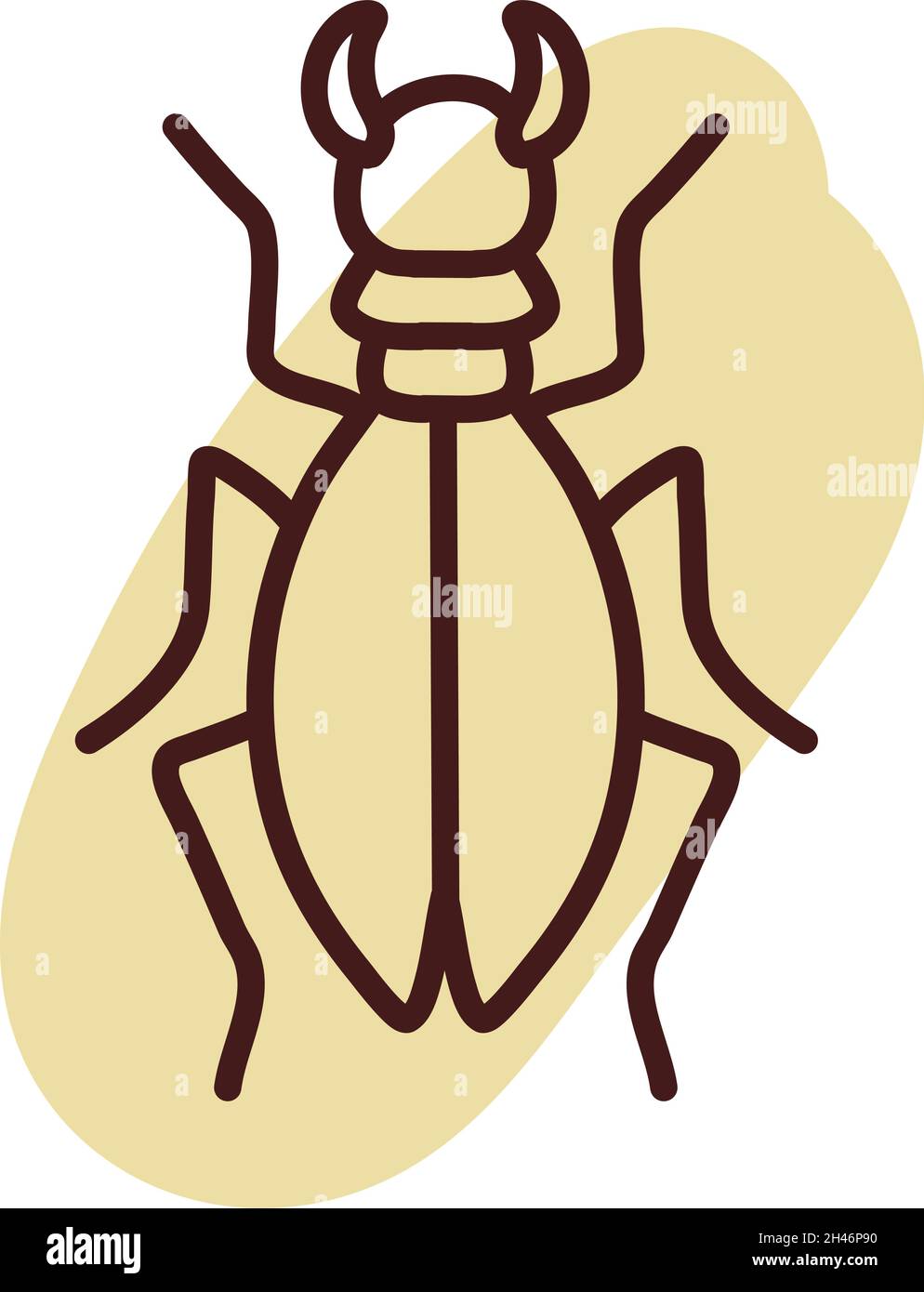 Flying ant white hi-res stock photography and images - Alamy