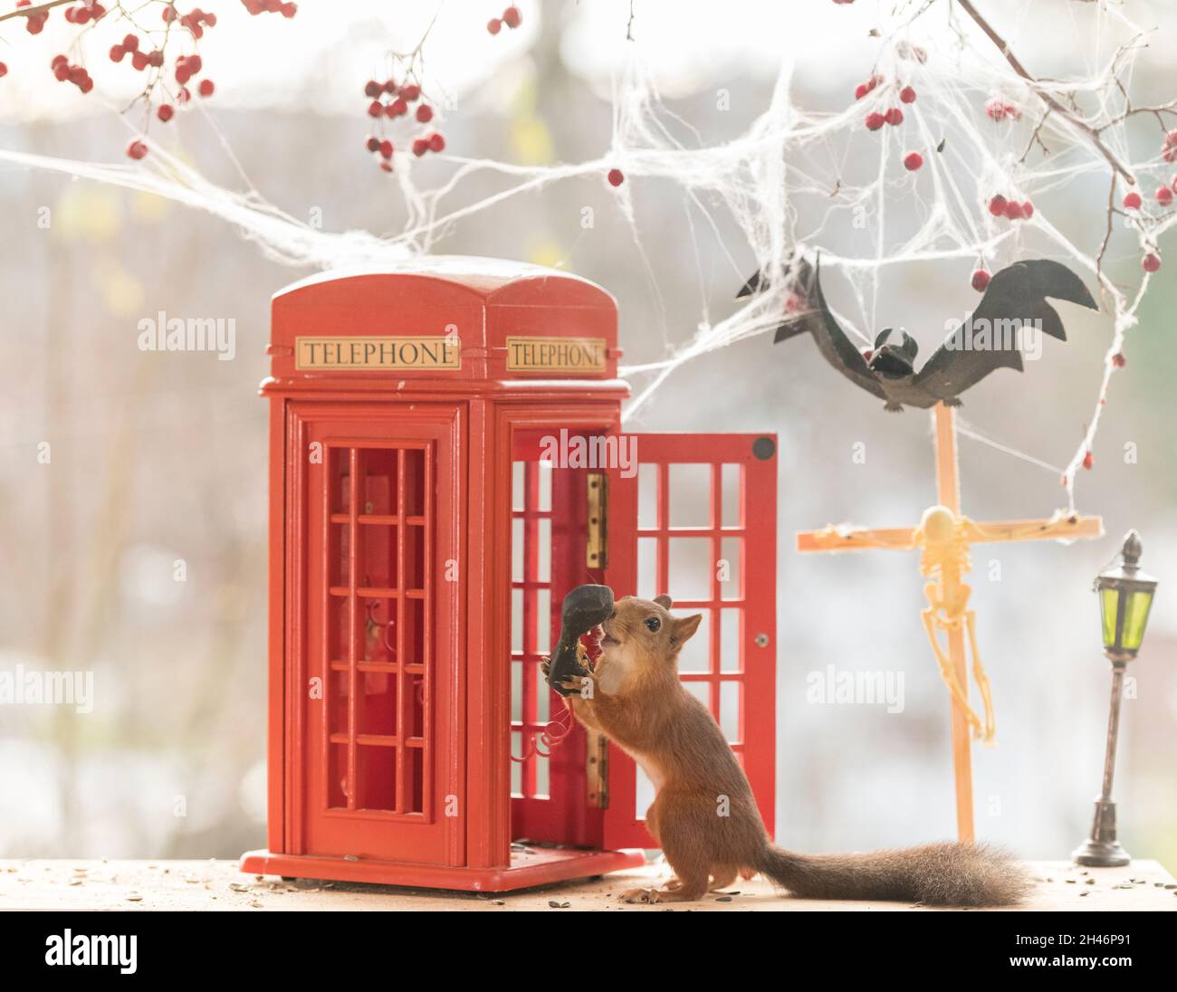 Phone booth graveyard hi-res stock photography and images - Alamy