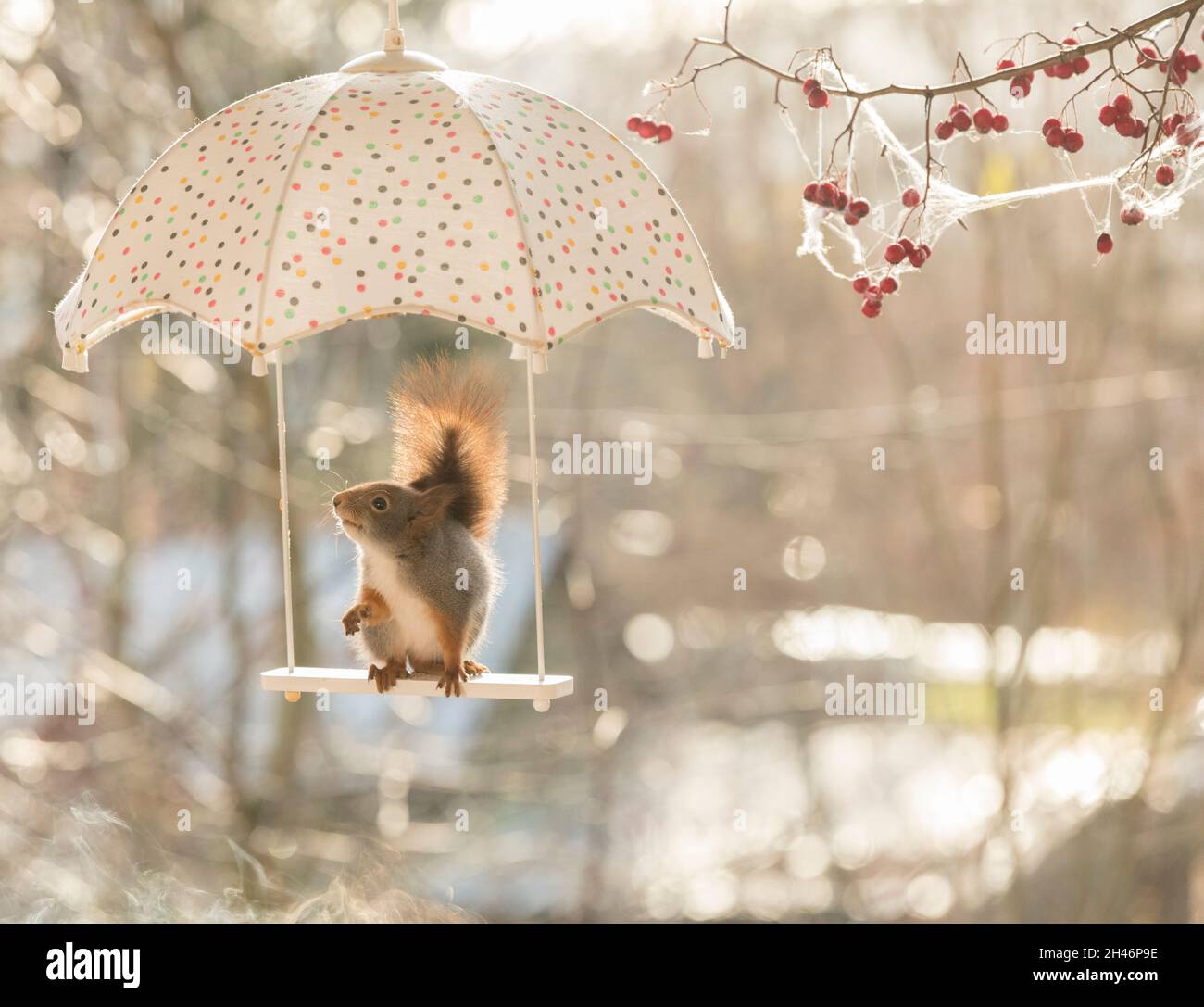 Funny Parasol High Resolution Stock Photography and Images - Alamy