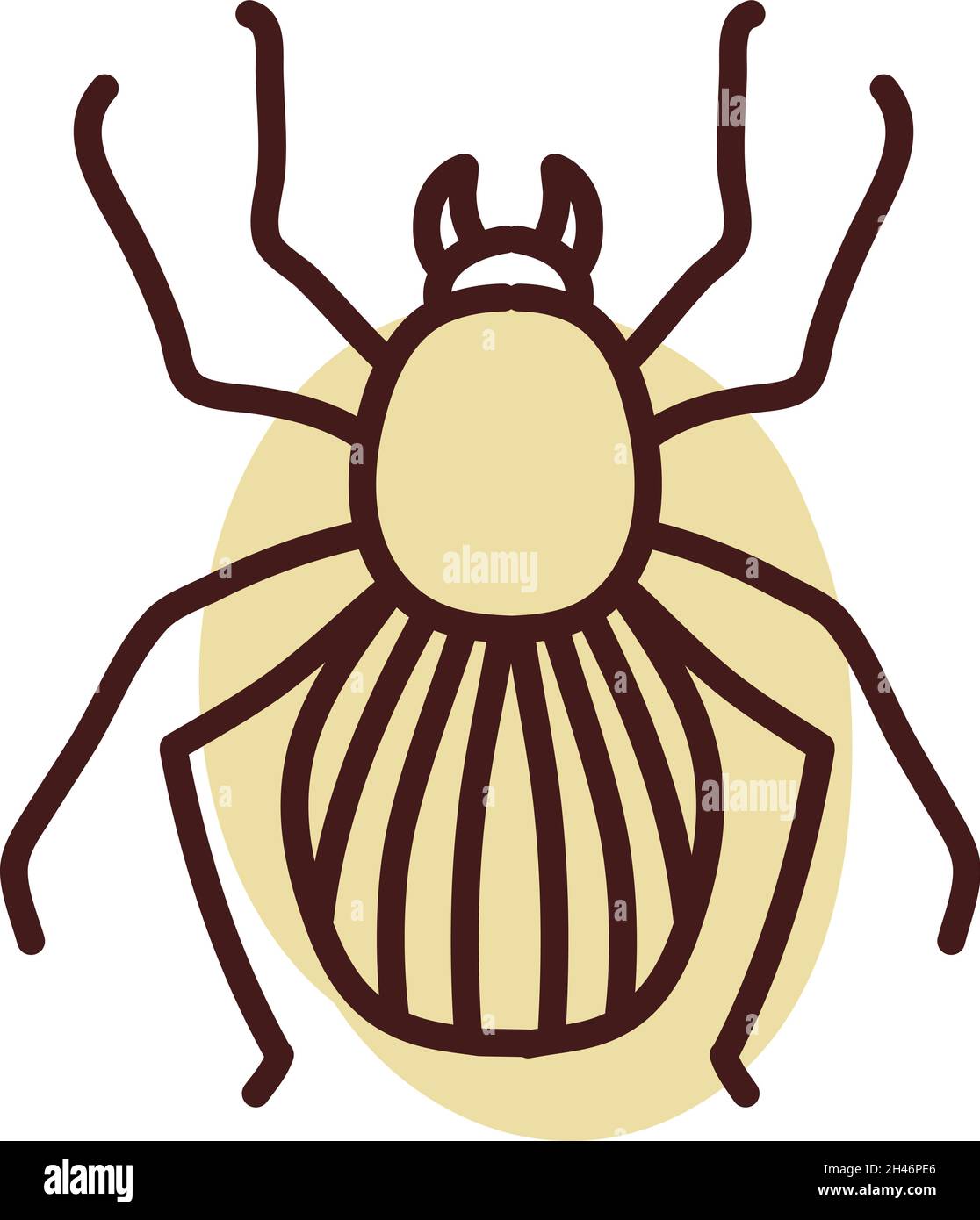 Brown gnat bug, illustration, vector, on a white background Stock ...