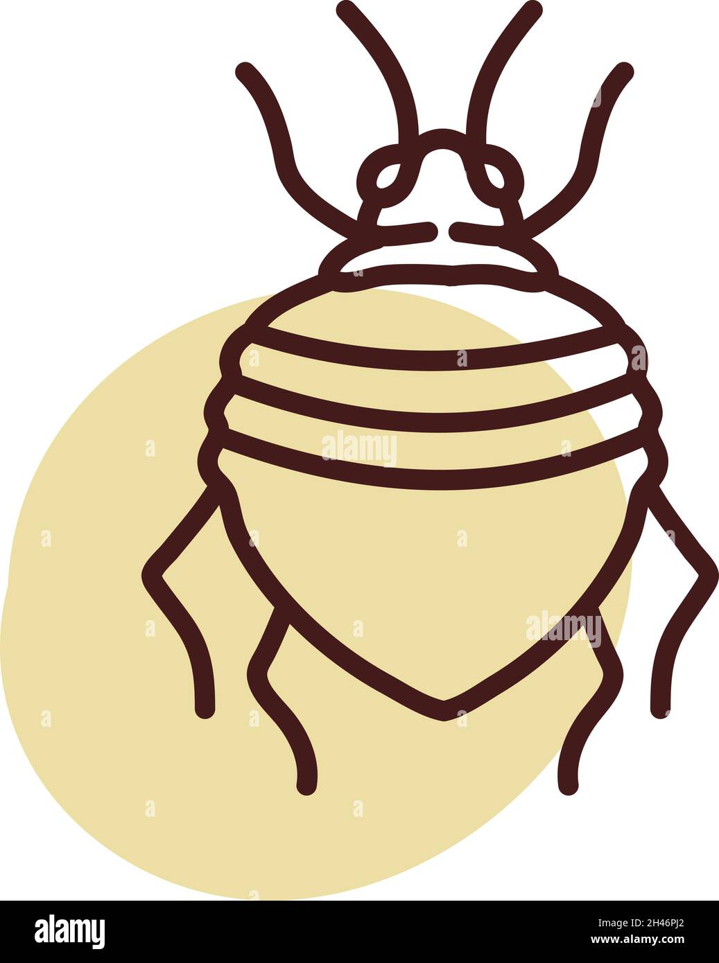 Stink bug, illustration, vector, on a white background Stock Vector ...