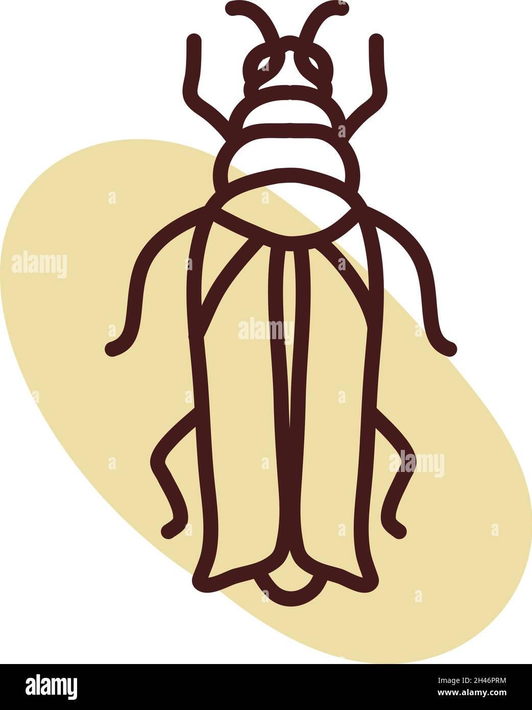 Small cricket, illustration, vector, on a white background Stock Vector ...