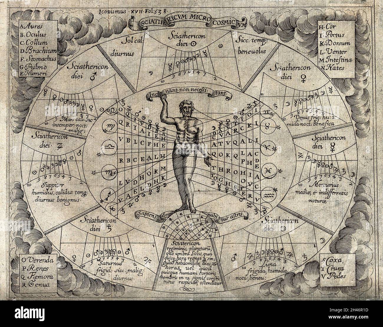 Astronomy: an oval chart showing how different planets affect different ...