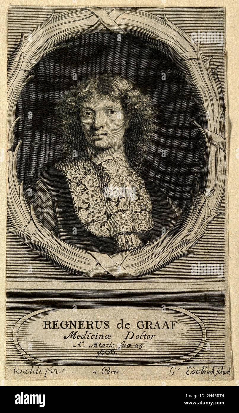 Reinier de Graaf. Line engraving by G. Edelinck and J. Edelinck, 1666 ...