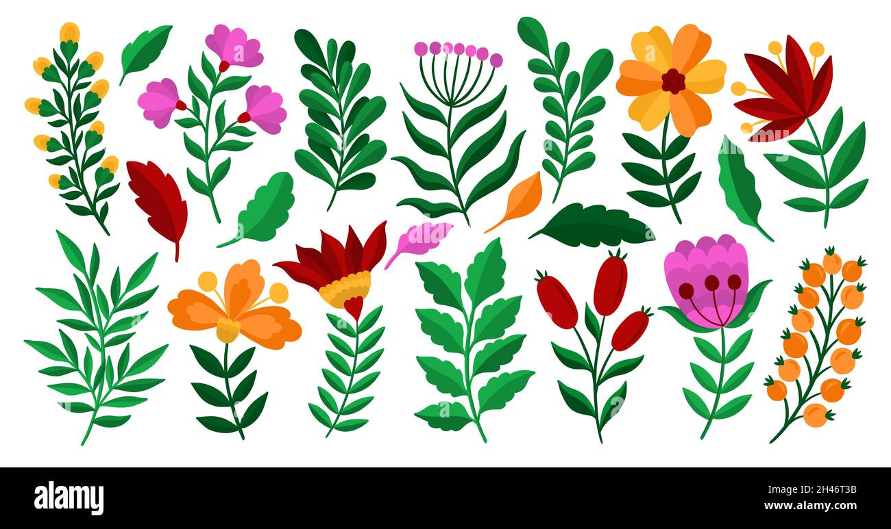 Set stalk flower bud cartoon style.Isolated in white background ...