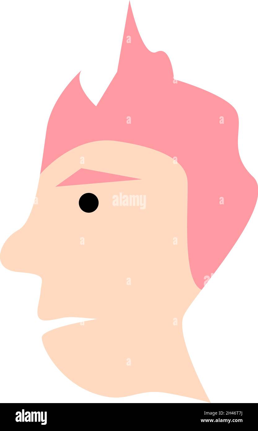 Men with interesting pink hair, illustration, vector, on a white ...