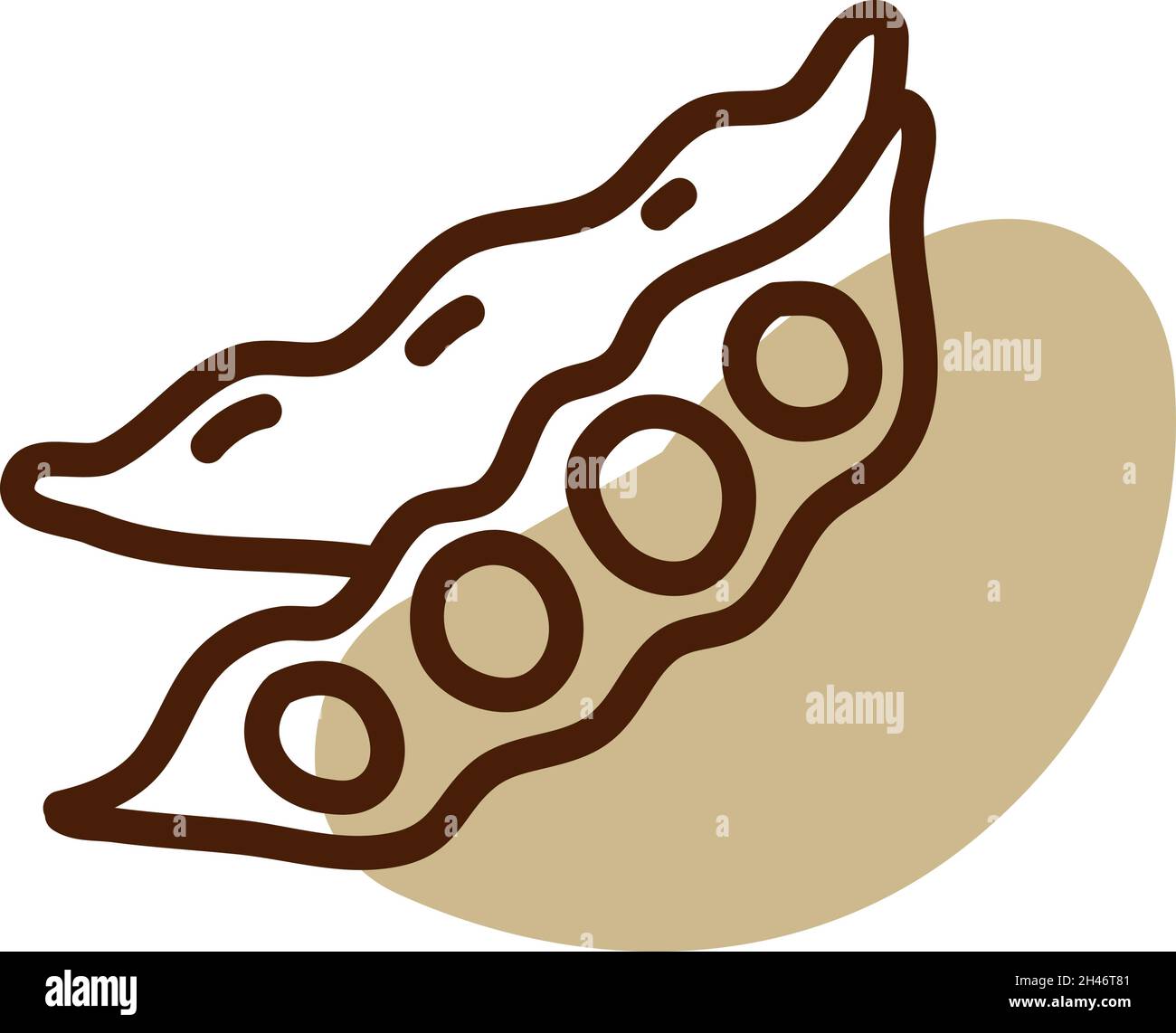 Green beans in shell, illustration, vector, on a white background Stock ...