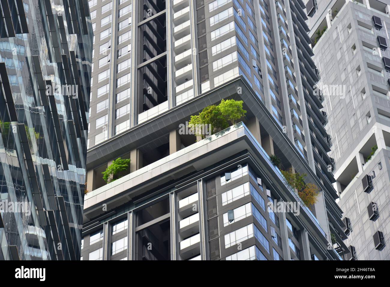 SINGAPORE. VERTICAL GARDEN IN A PUBLIC HOUSING BUILDING NEAR CHINA TOWN ...