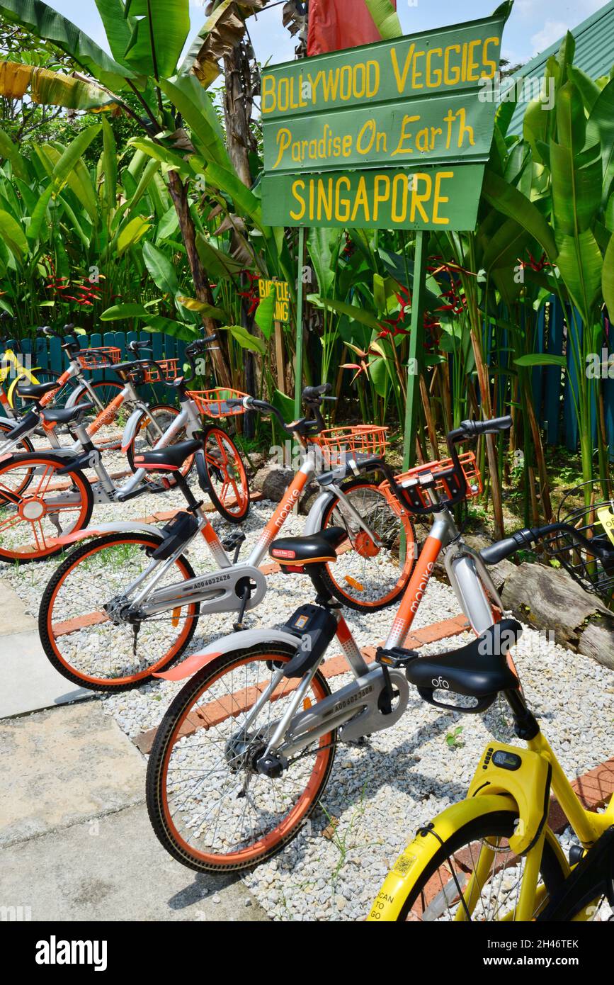 SINGAPORE. THE BOLLYWOOD FARM, ONE OF THE FARMS OF THE KRANJI HERITAGE ...