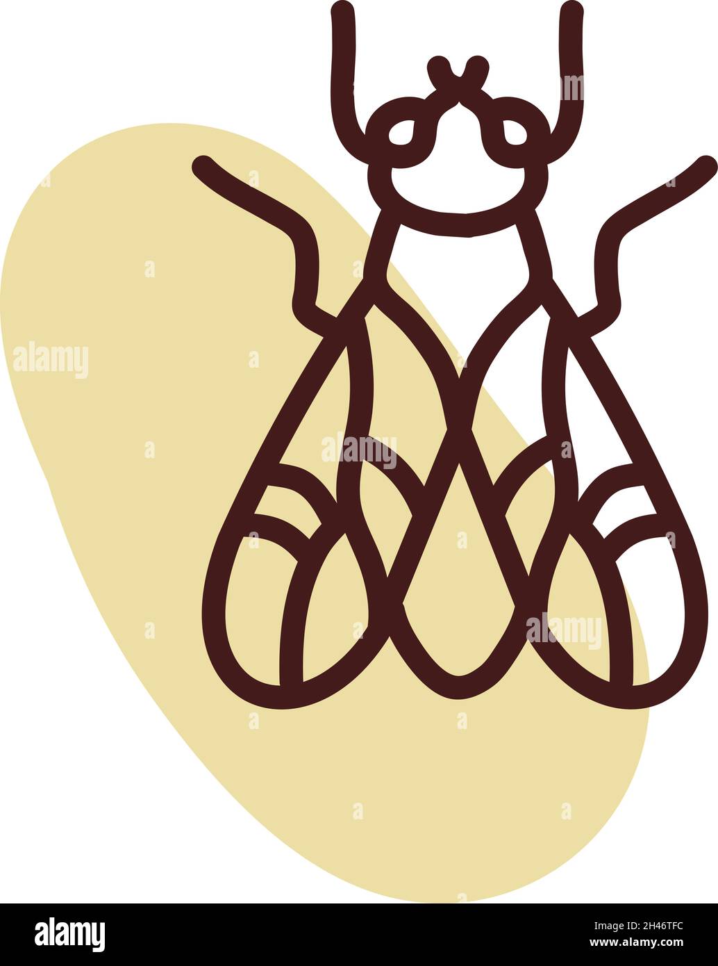 Spotted insect Stock Vector Images - Alamy