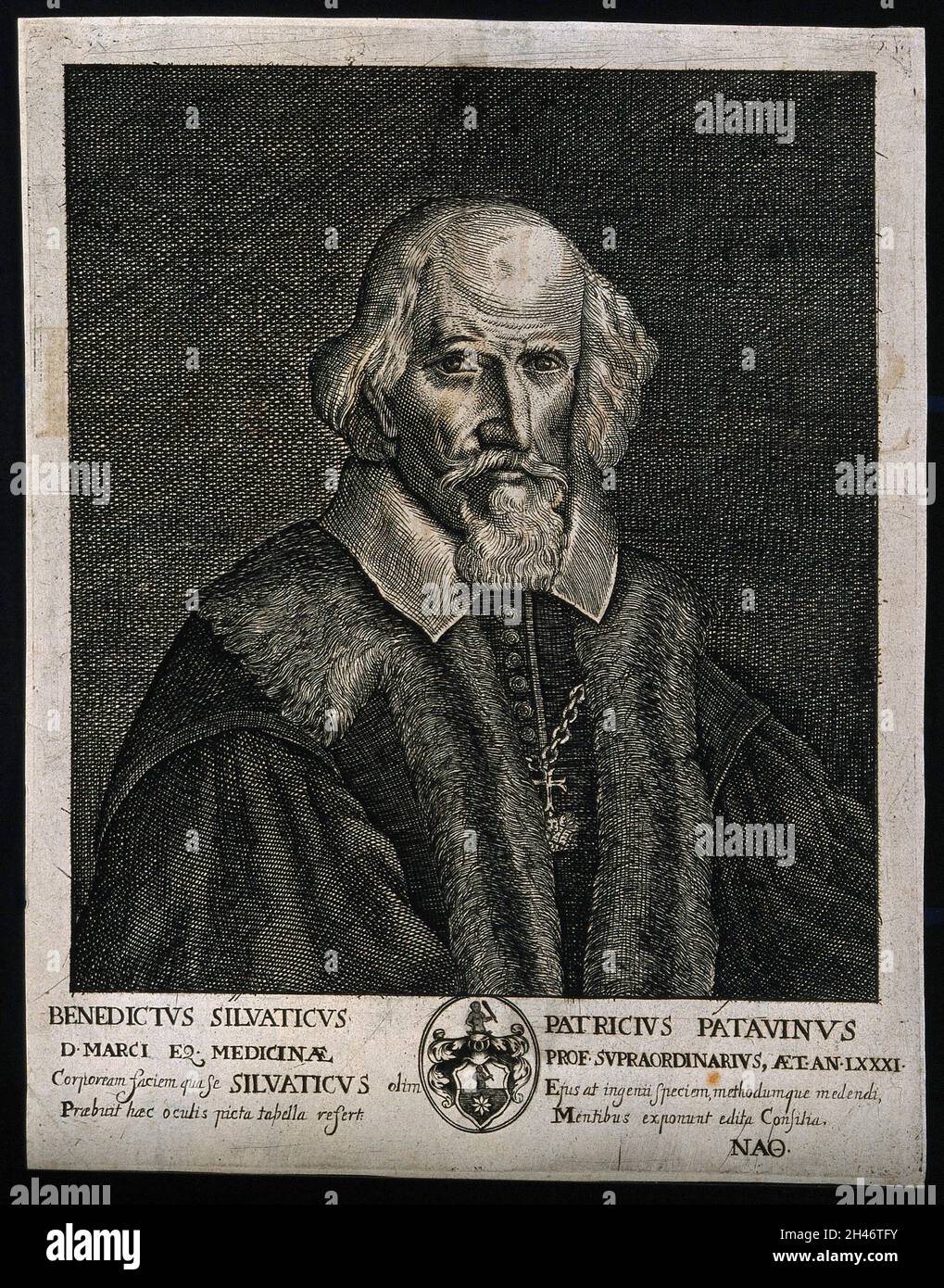Benedictus Silvaticus. Line engraving Stock Photo - Alamy