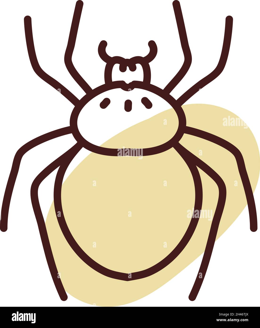 Flea illustration hi-res stock photography and images - Alamy