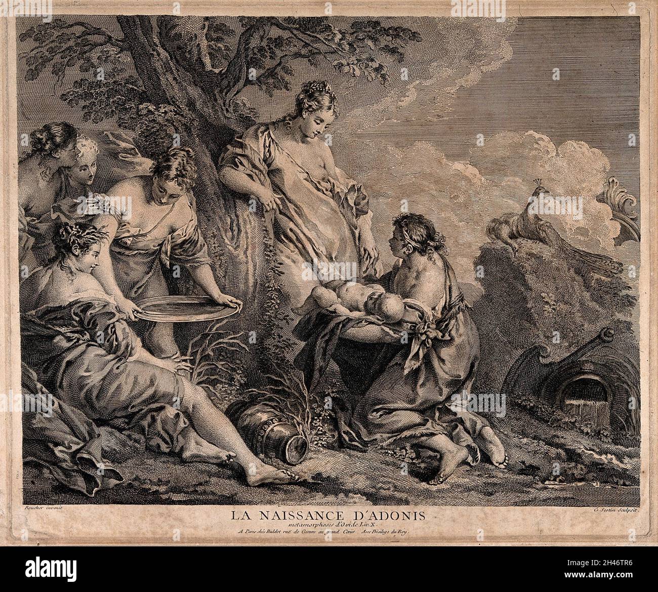 Nymphs holding the new born Adonis next to a myrrh tree representing ...