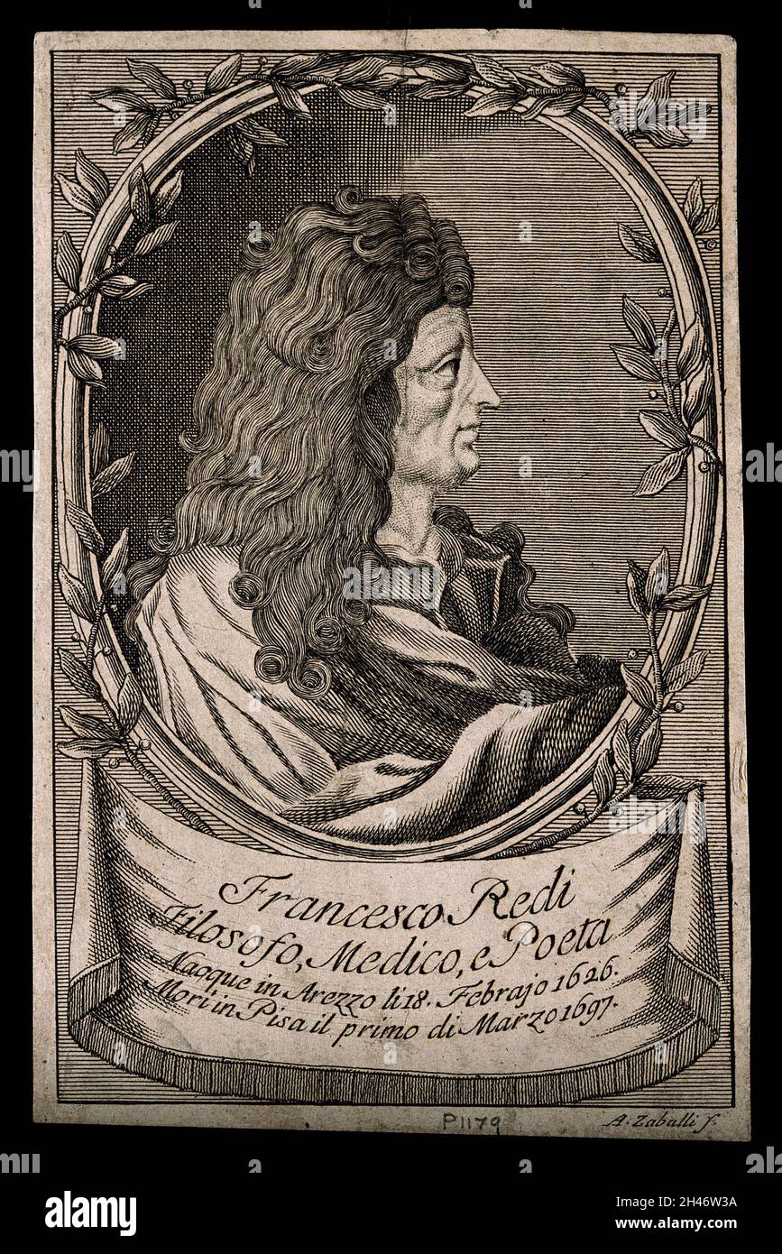 Francesco Redi. Line engraving by A. Zaballi Stock Photo - Alamy