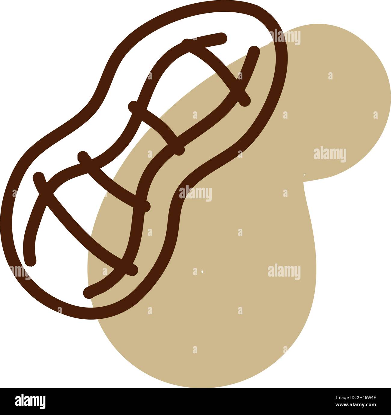 Peanut in shell, illustration, vector, on a white background Stock ...