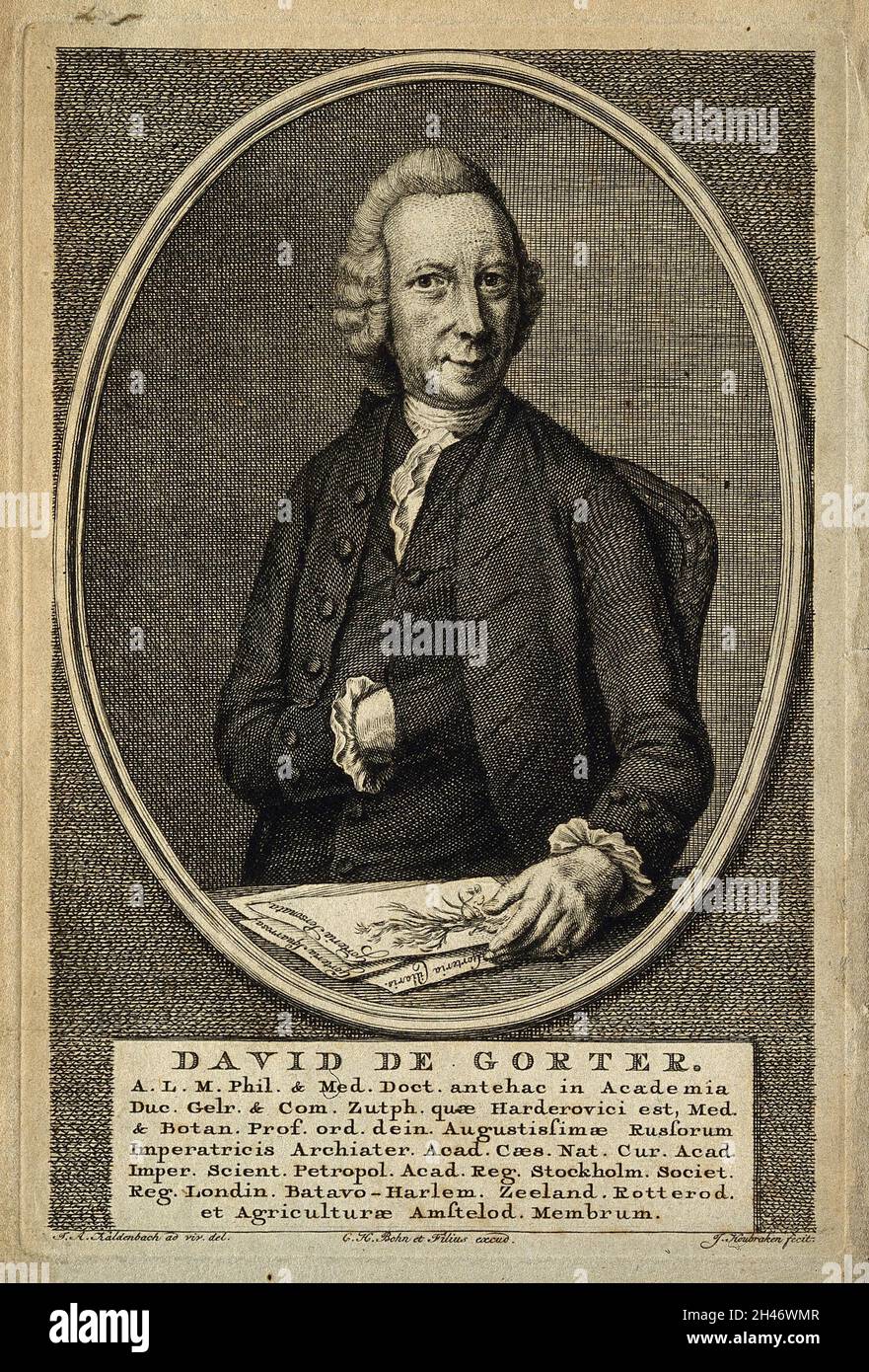 David de gorter hi-res stock photography and images - Alamy