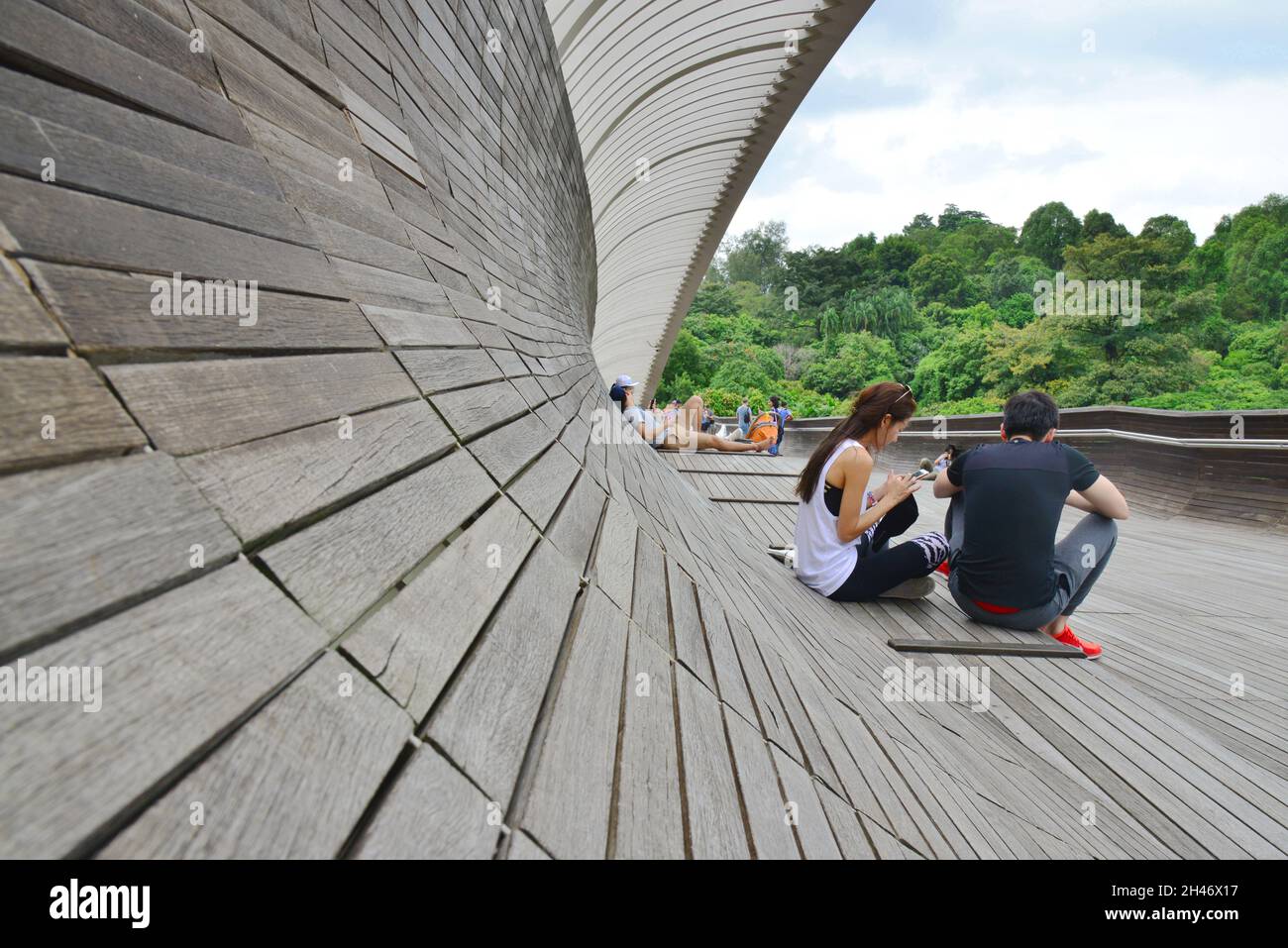 SINGAPORE. THE ANDERSON'S WAVES BRIDGE IS PART OF THE 300 KM OF GREENS ...