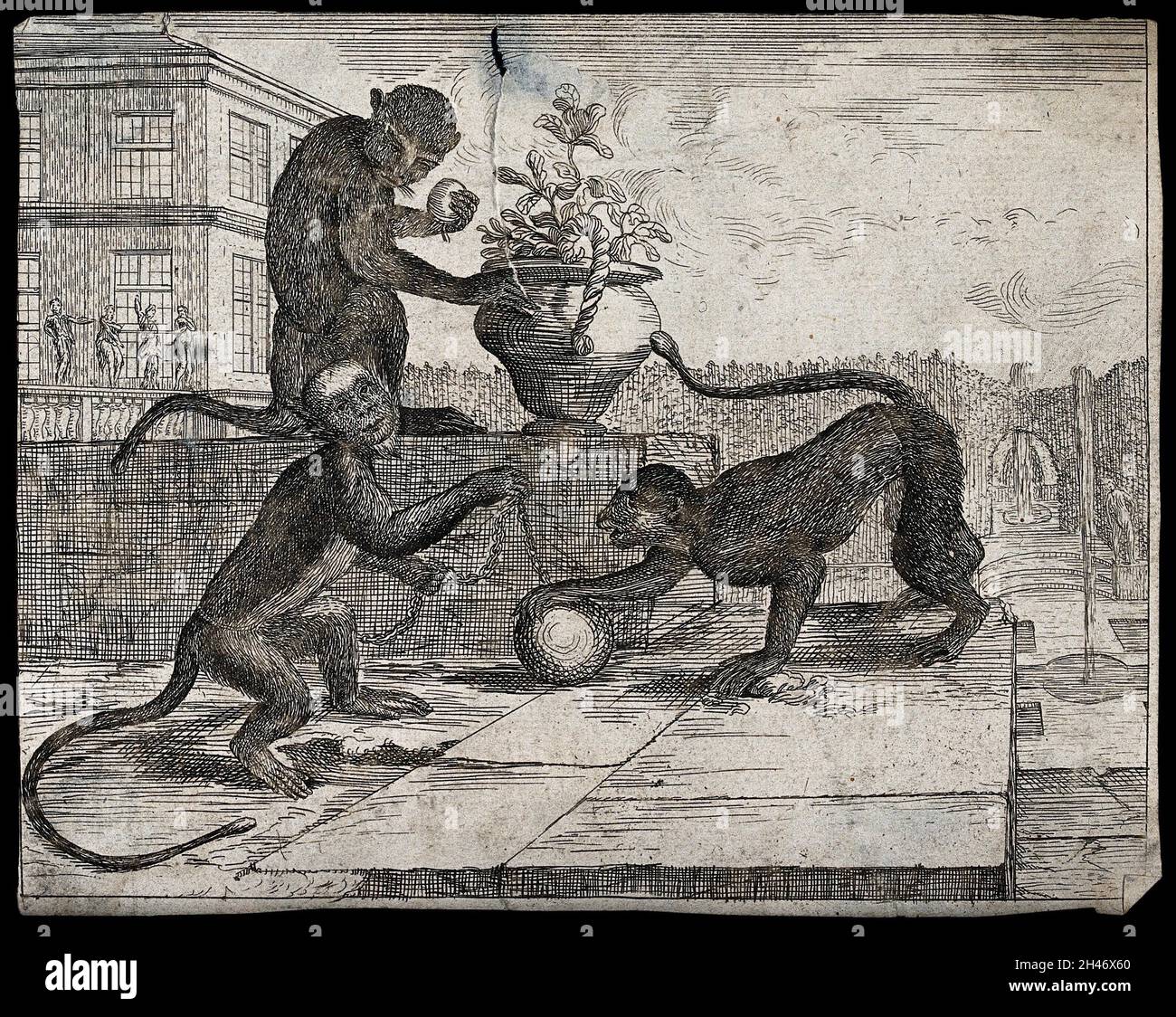 Three monkeys playing with a ball and chain and potted plant outside a ...