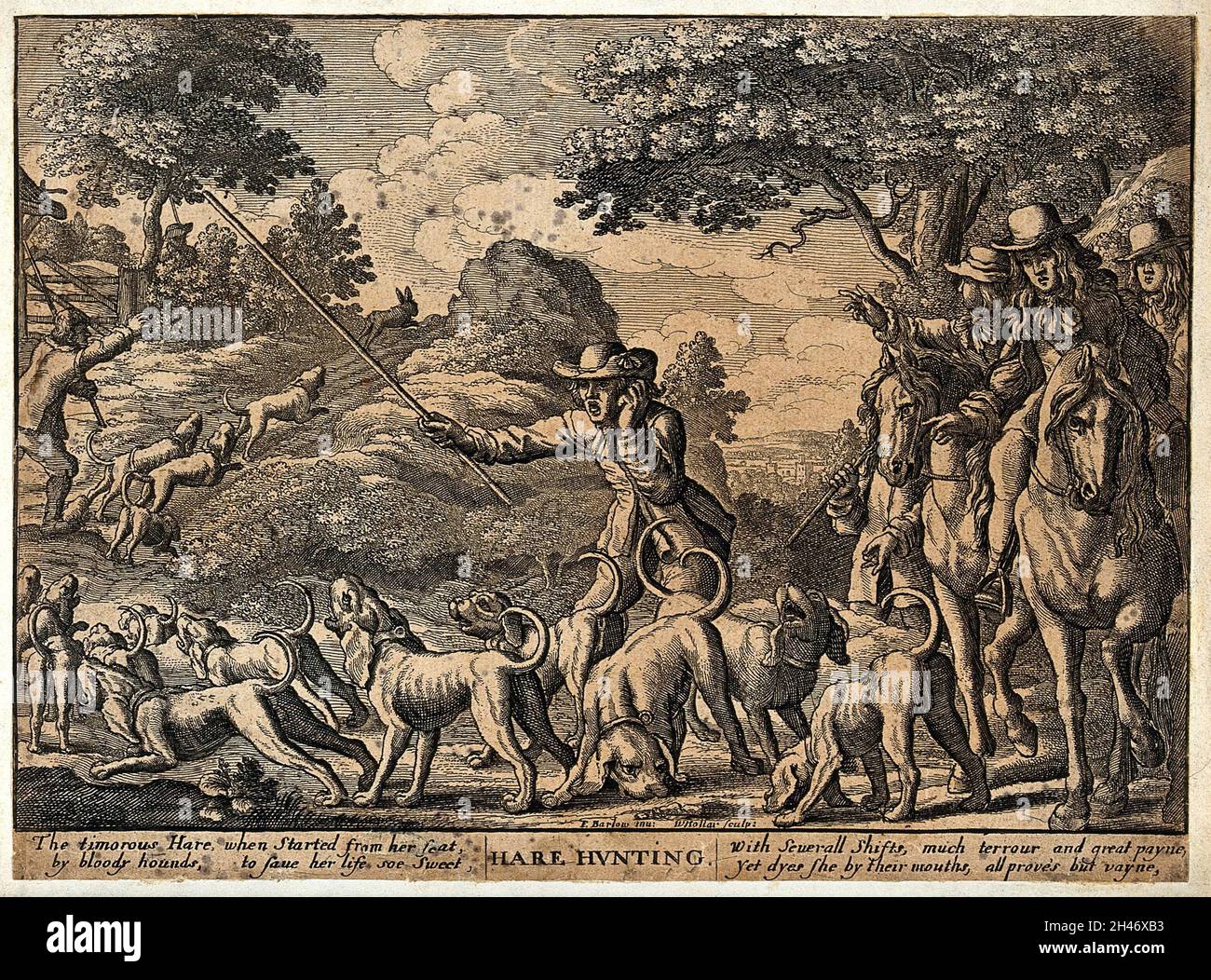 Hunting dogs chasing a hare up a narrow path, urged on by their keepers ...