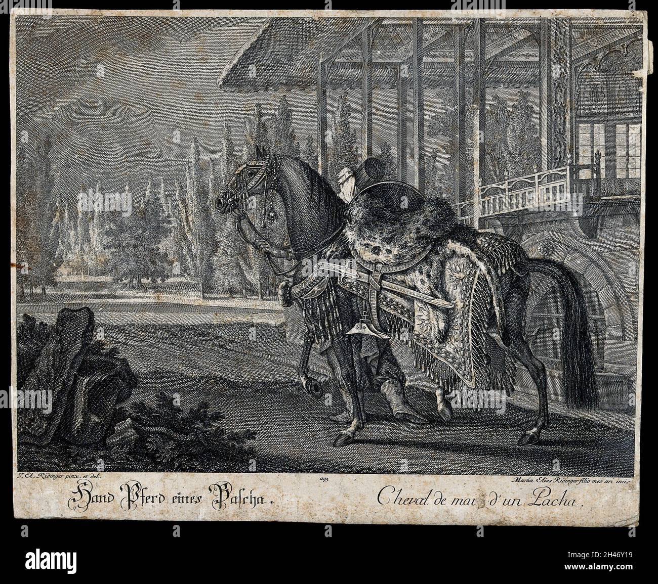 Ridinger man hi-res stock photography and images - Alamy