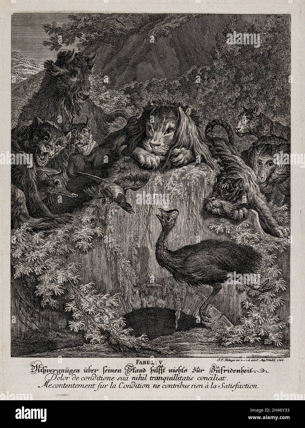 Discussion animals hi-res stock photography and images - Alamy