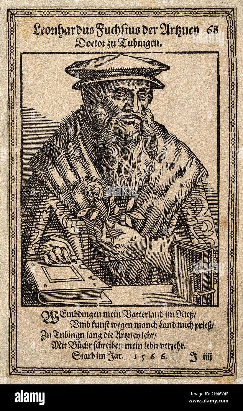 Leonard Fuchs. Woodcut by T. Stimmer, 1587 Stock Photo - Alamy