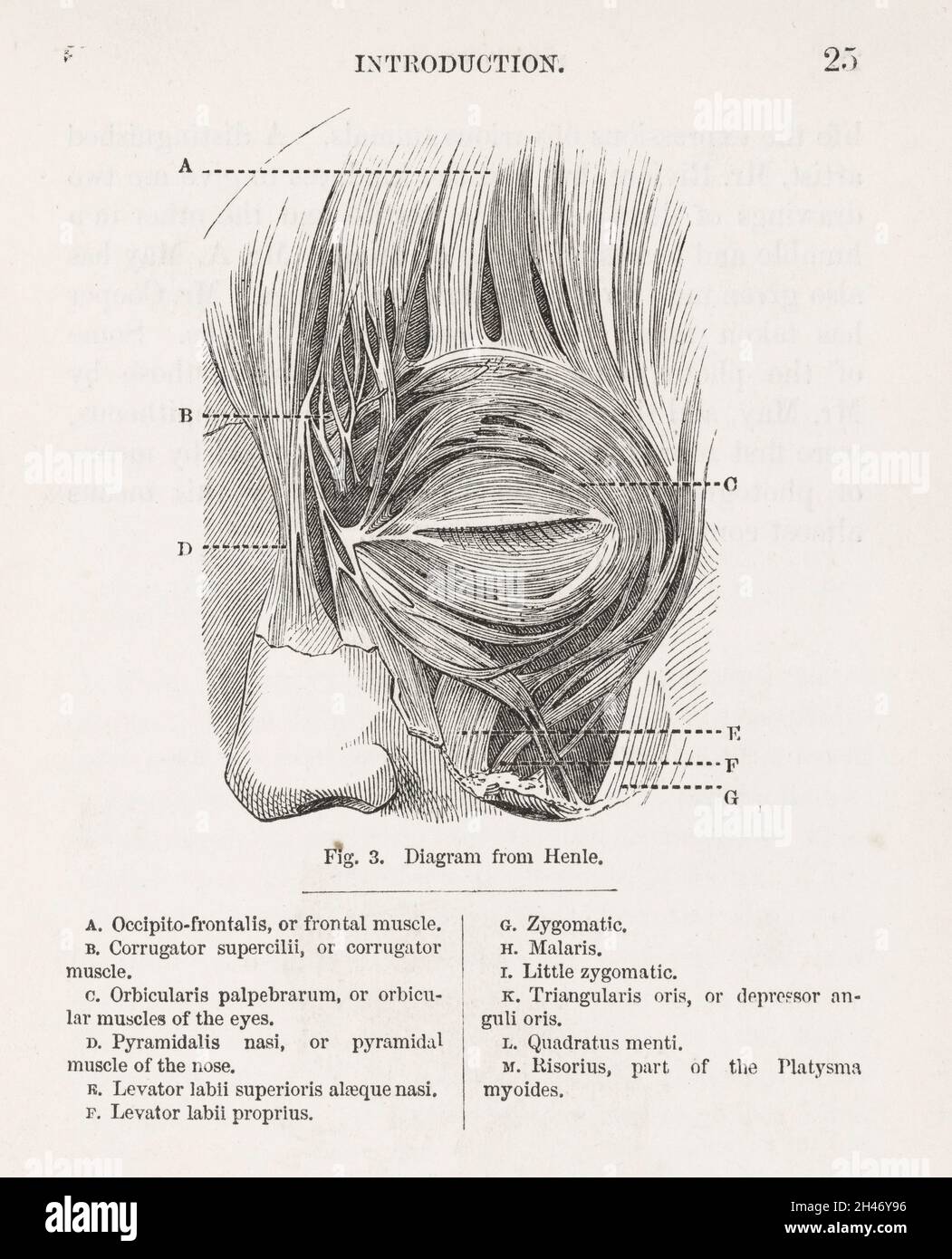 Muscles around eye from Darwin's Expression of the Emotions Stock Photo ...