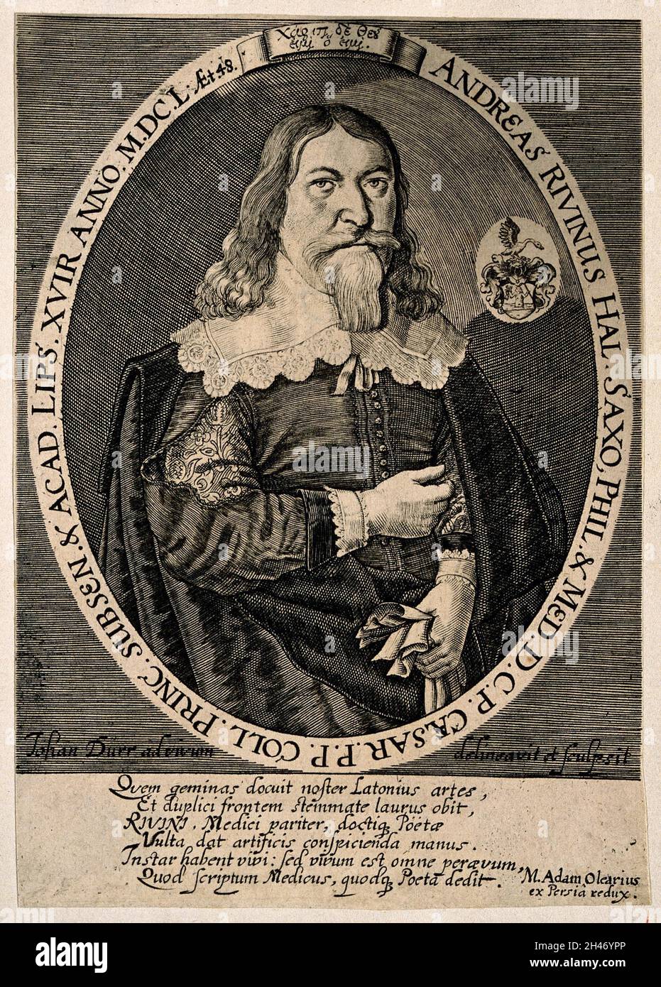 Rivinus hi-res stock photography and images - Alamy