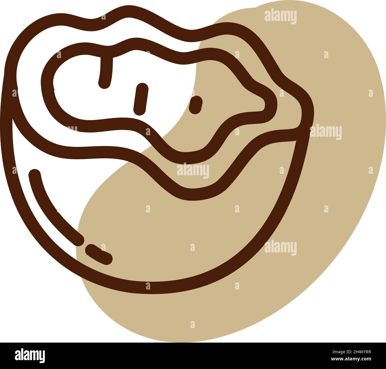 Fresh peanut on white Stock Vector Images - Alamy