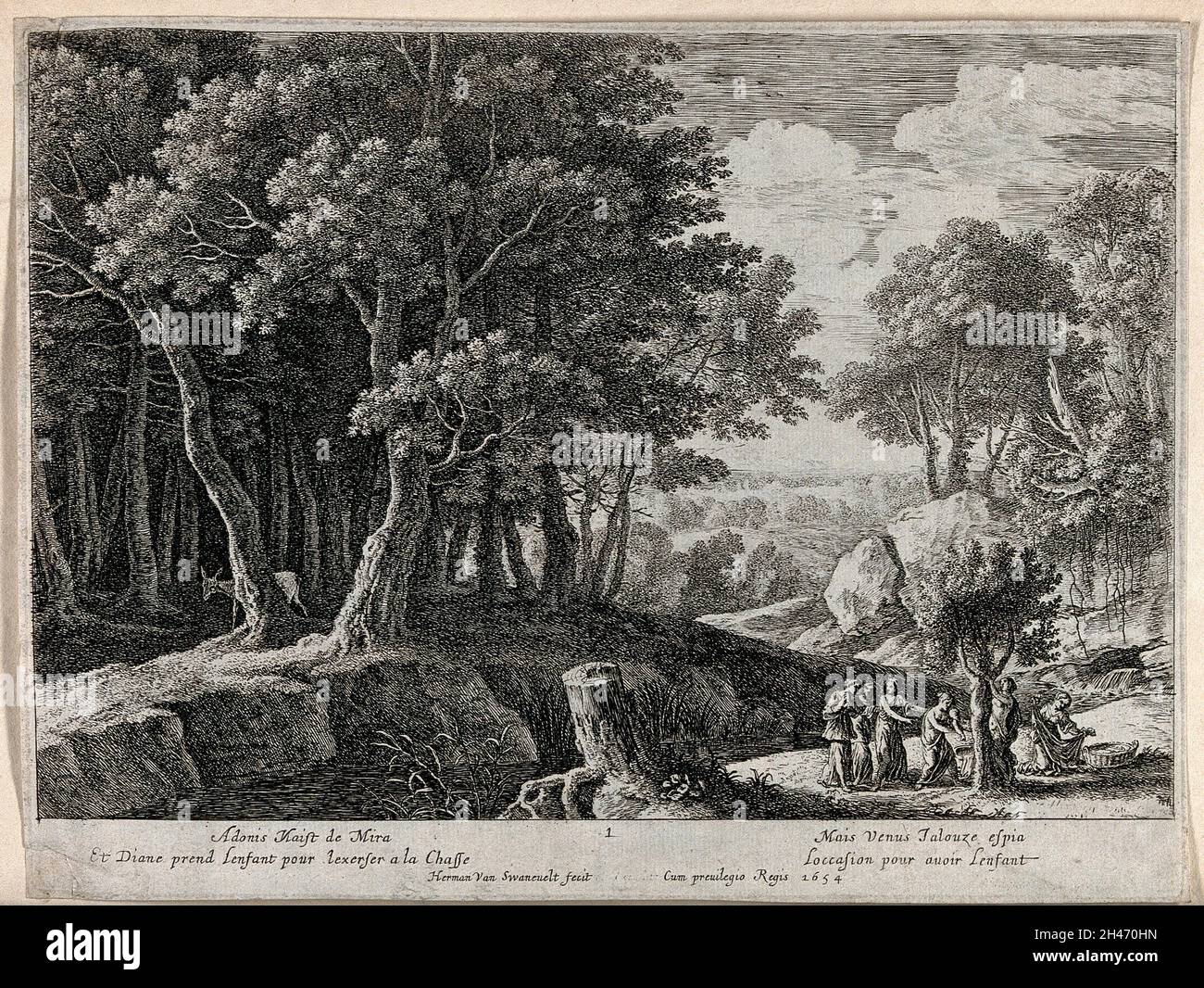 The birth of Adonis. Etching by H. van Swanevelt Stock Photo - Alamy