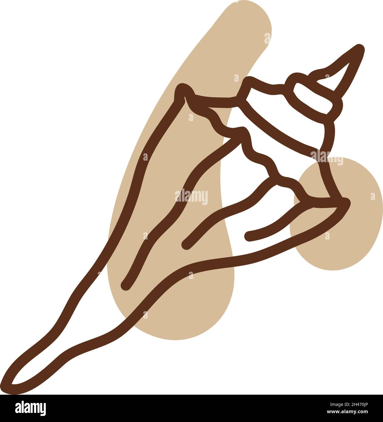 Spikey shell fish, illustration, vector, on a white background Stock ...