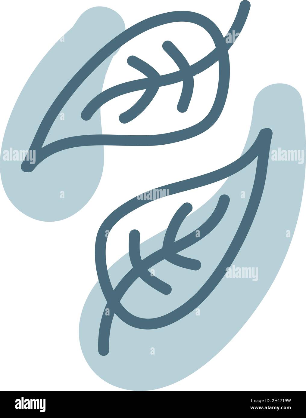 Spa leaf, illustration, vector, on a white background Stock Vector ...