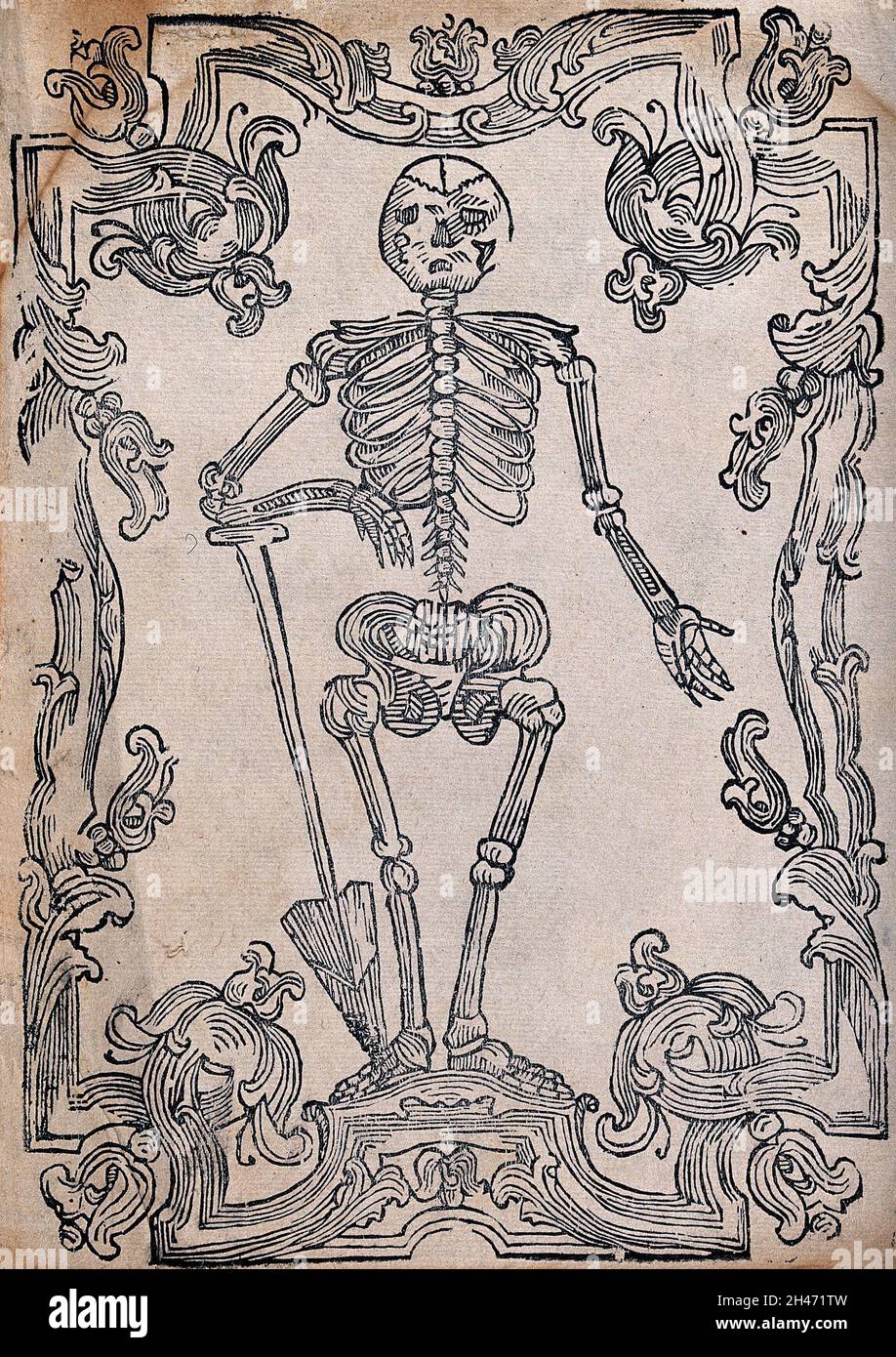 A skeleton encircled with a decorative band. Woodcut Stock Photo - Alamy