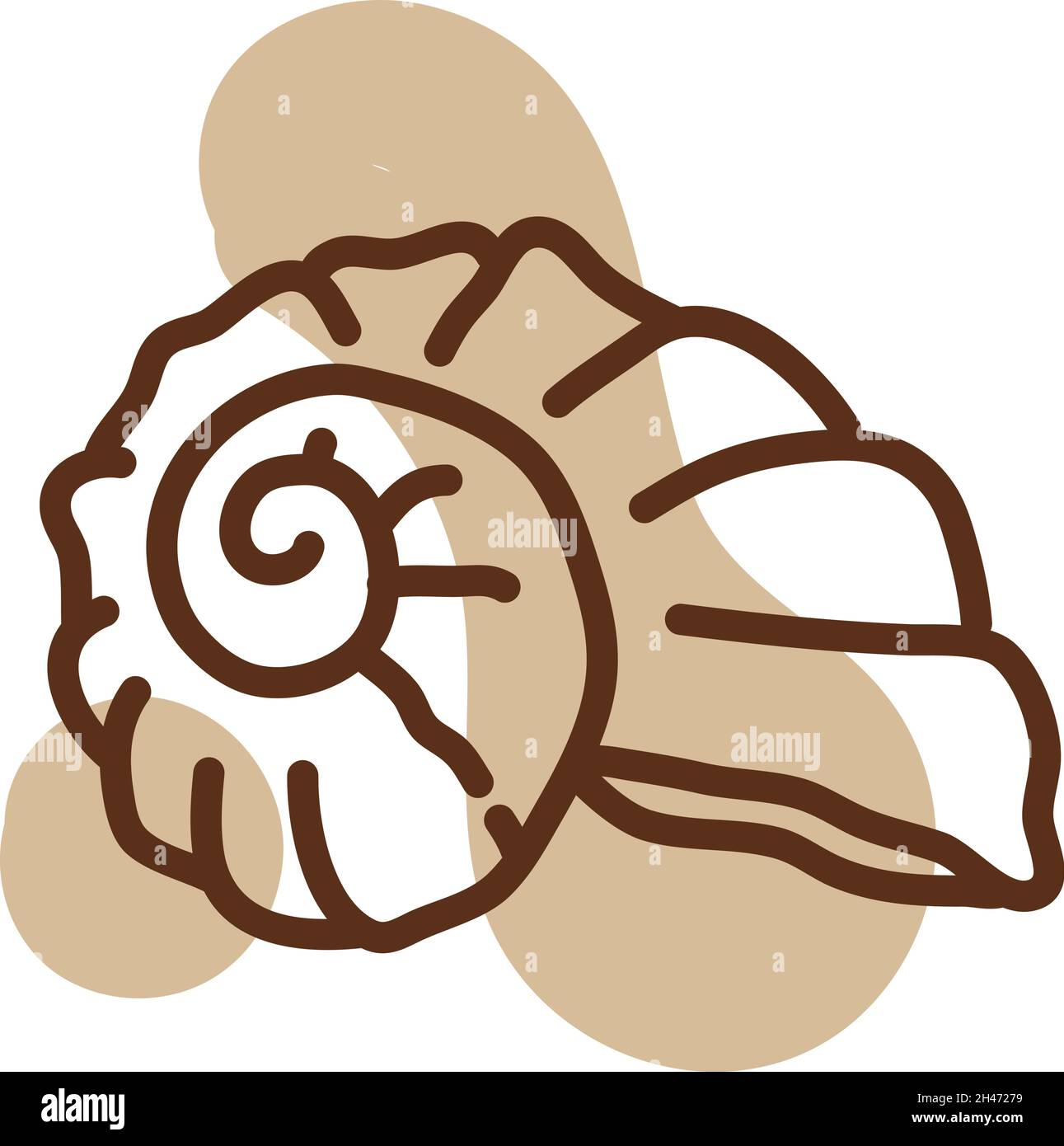 Cool sea shell, illustration, vector, on a white background Stock ...