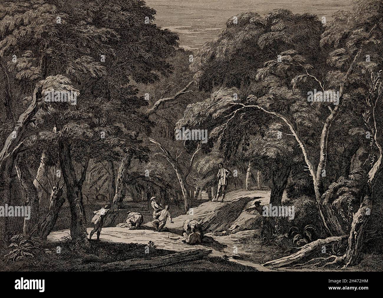 People in a forest being attacked by robbers with guns and swords ...