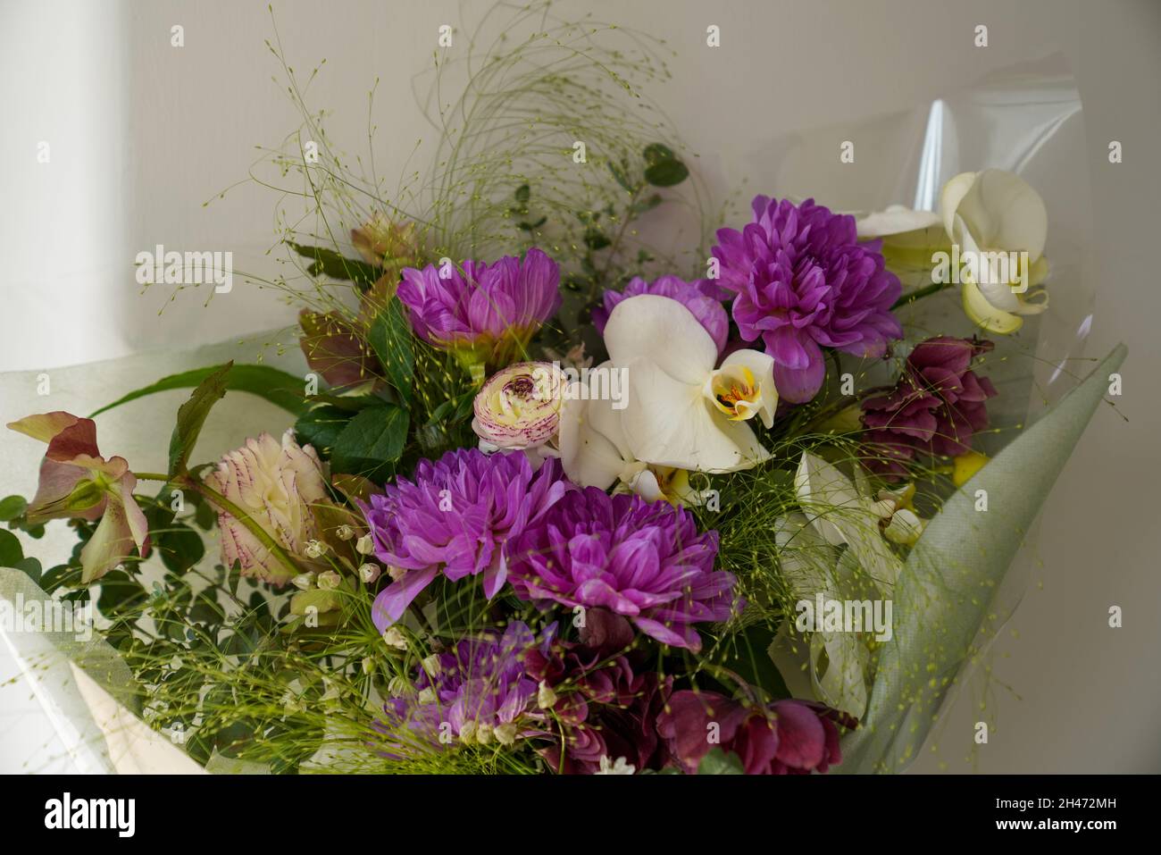 Creative layout of flowers and leaves. The concept of nature. A card ...